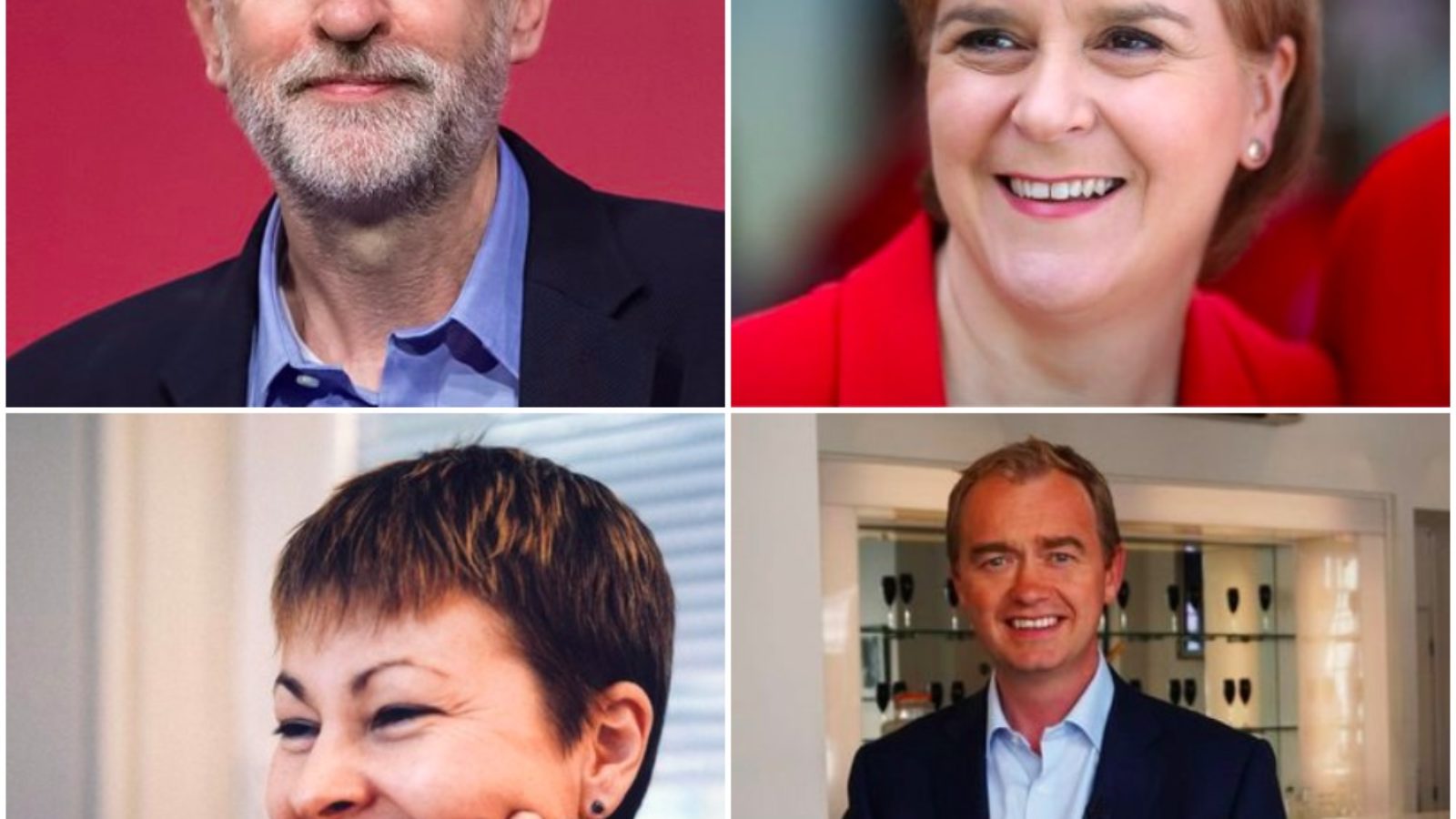 Neal Lawson: Progressive alliance could help Labour take 30 Tory seats ...