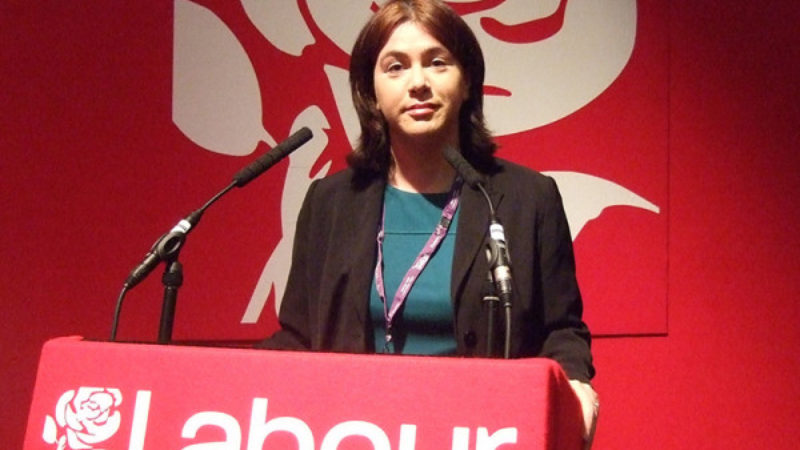 Alex Mayer: There's no good reason for Labour to have a 'rural problem ...